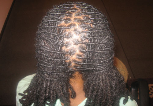 Retro Locs: All Loc Styles