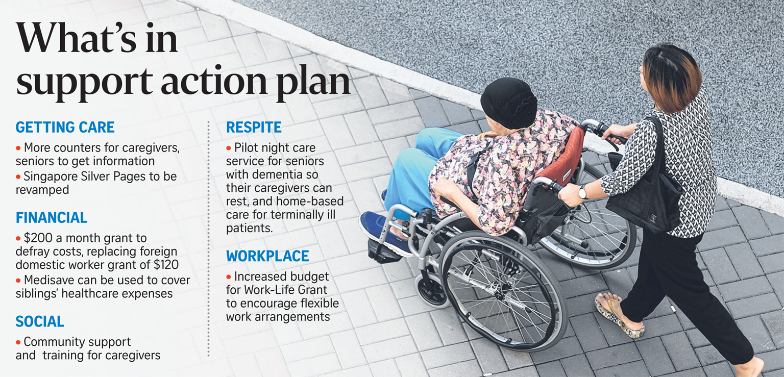 If Only Singaporeans Stopped to Think: Caregiver Support Action Plan ...
