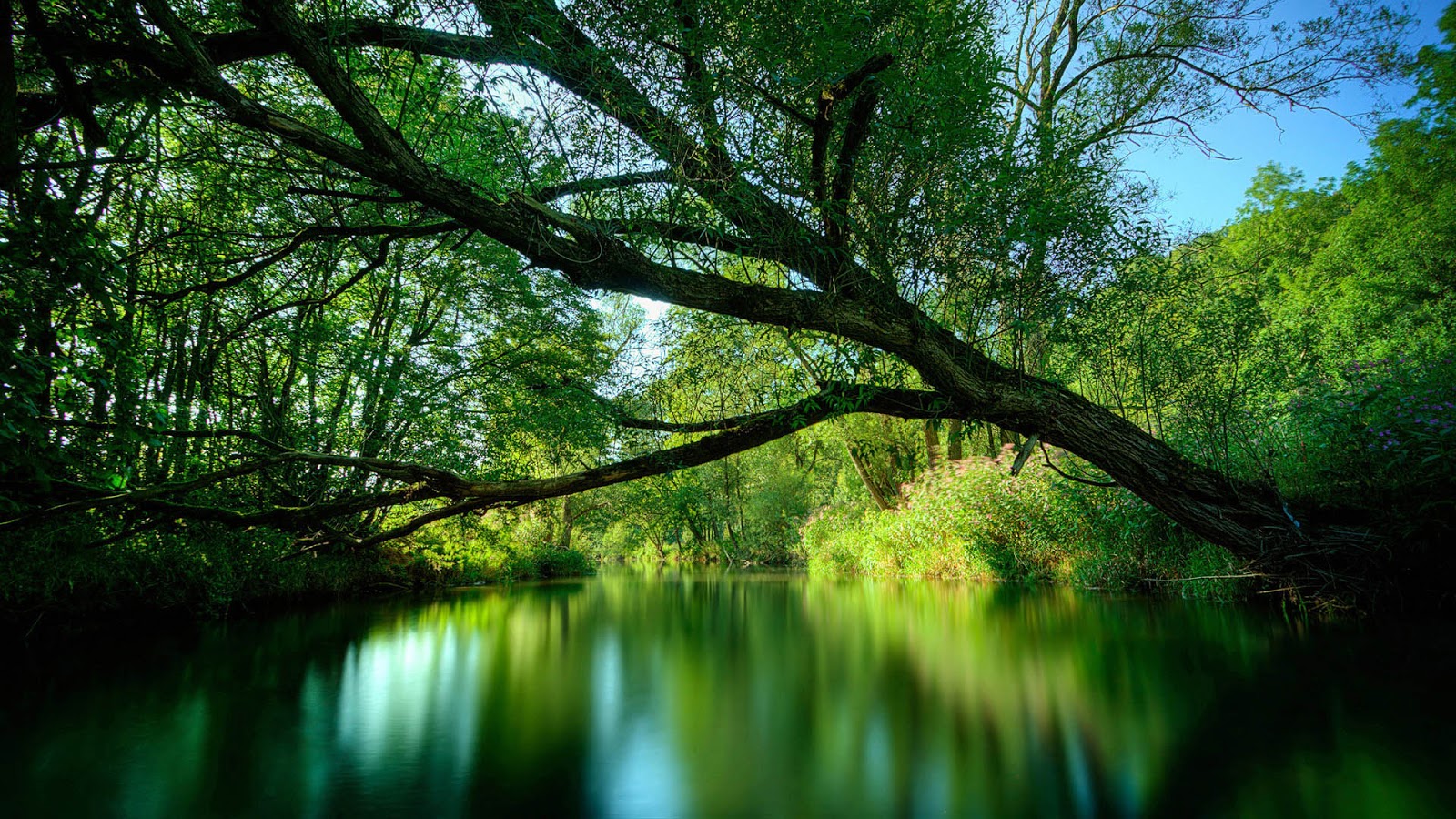 50 Most Exotic River HD Wallpaper (Part 1) | Unique Wallpaper