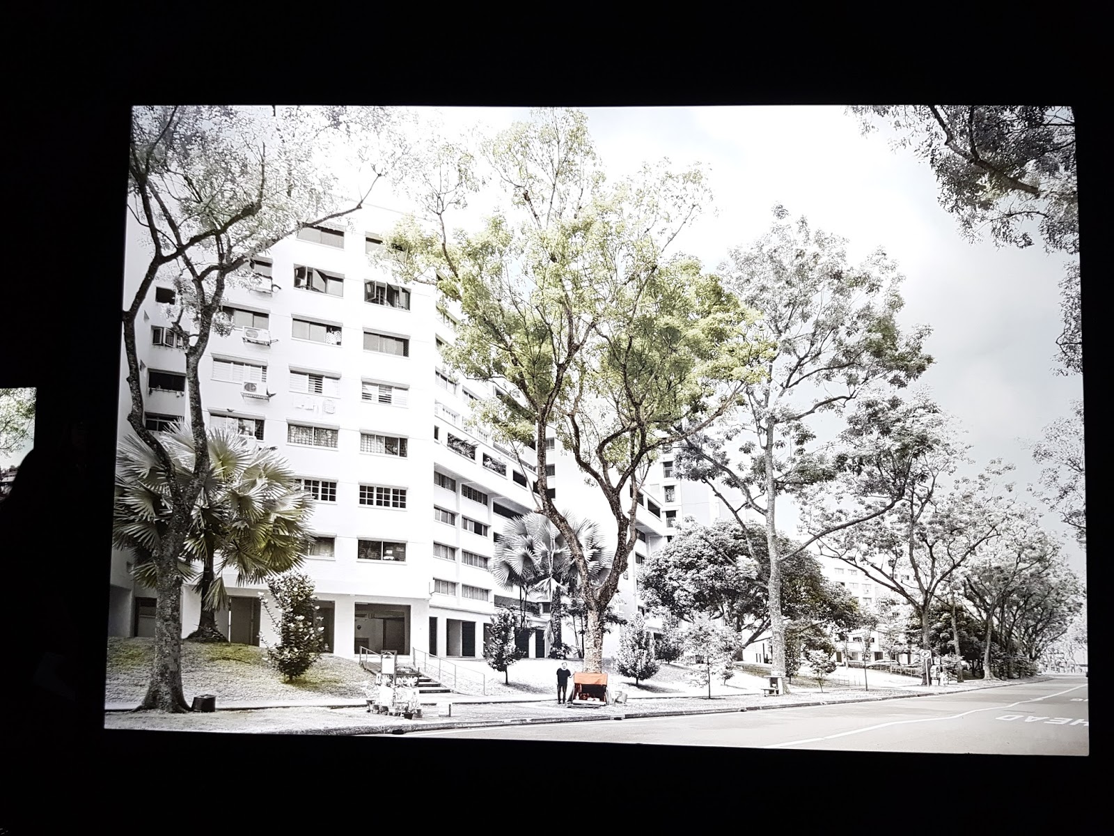 National Museum's Revamped Glass Rotunda