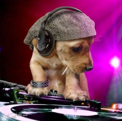 Cuaderno rubio para Perros: Los perros también pueden ser Djs ...