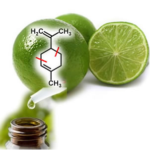 O QUE SÃO OS TERPENOIDES?