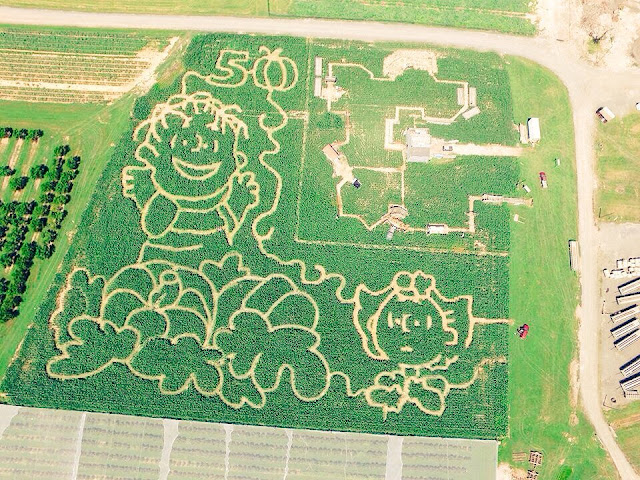 Susan's Disney Family: Celebrating the 50th anniversary of The Great ...