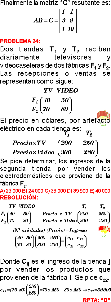 MATRICES EJERCICIOS RESUELTOS PDF