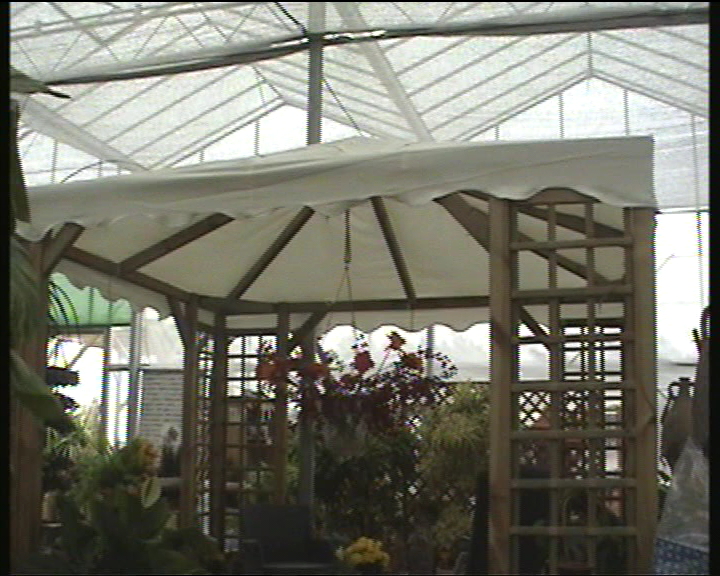 FITOSOFIA: VIVERO DE PLANTAS ORNAMENTALES-PRIMERA PARTE