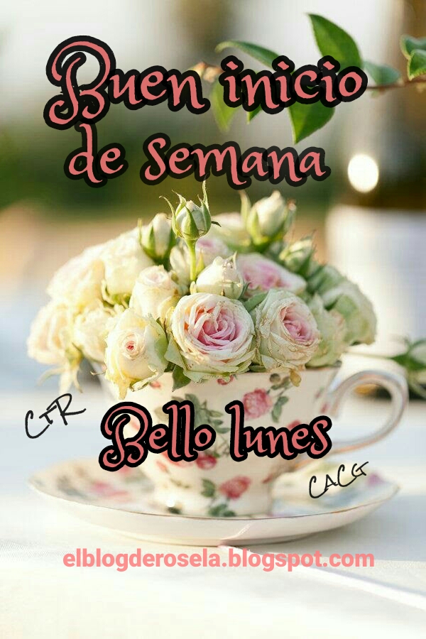 " De Todo Un Poco ": Buen inicio de semana.