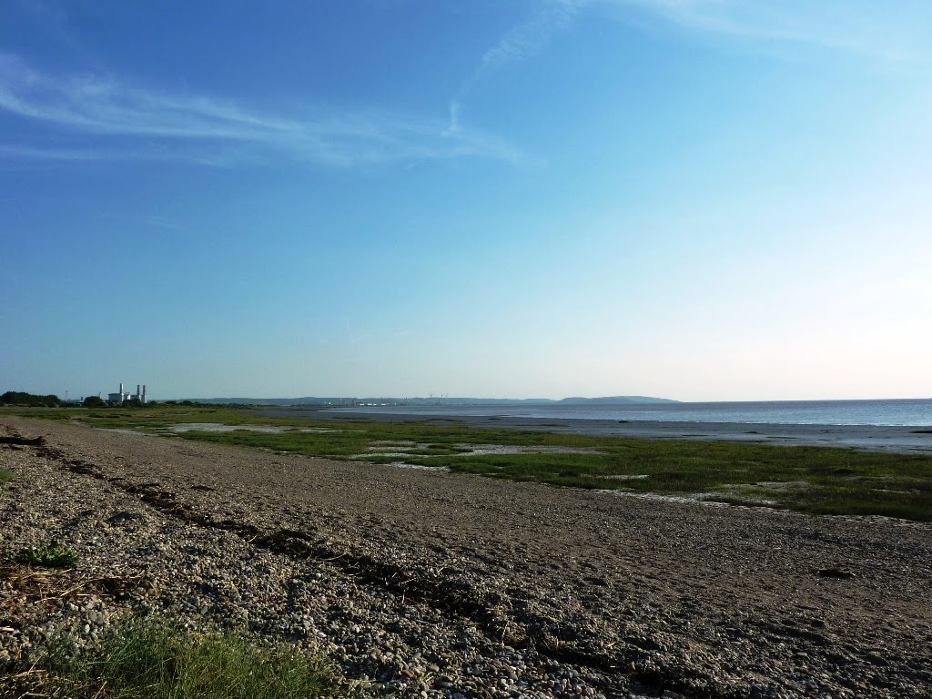 THE WESSEX REIVER: Seawatching at Severn Beach