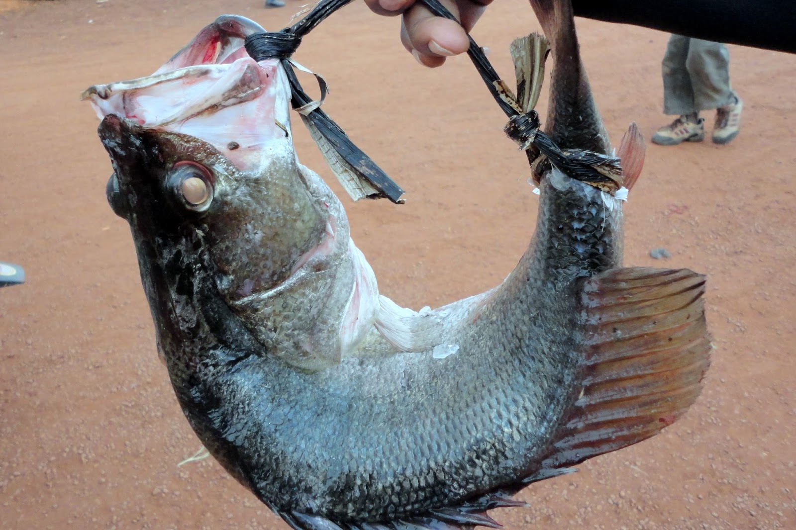 Menu Time: Samaki wa Ziwa Viktoria.