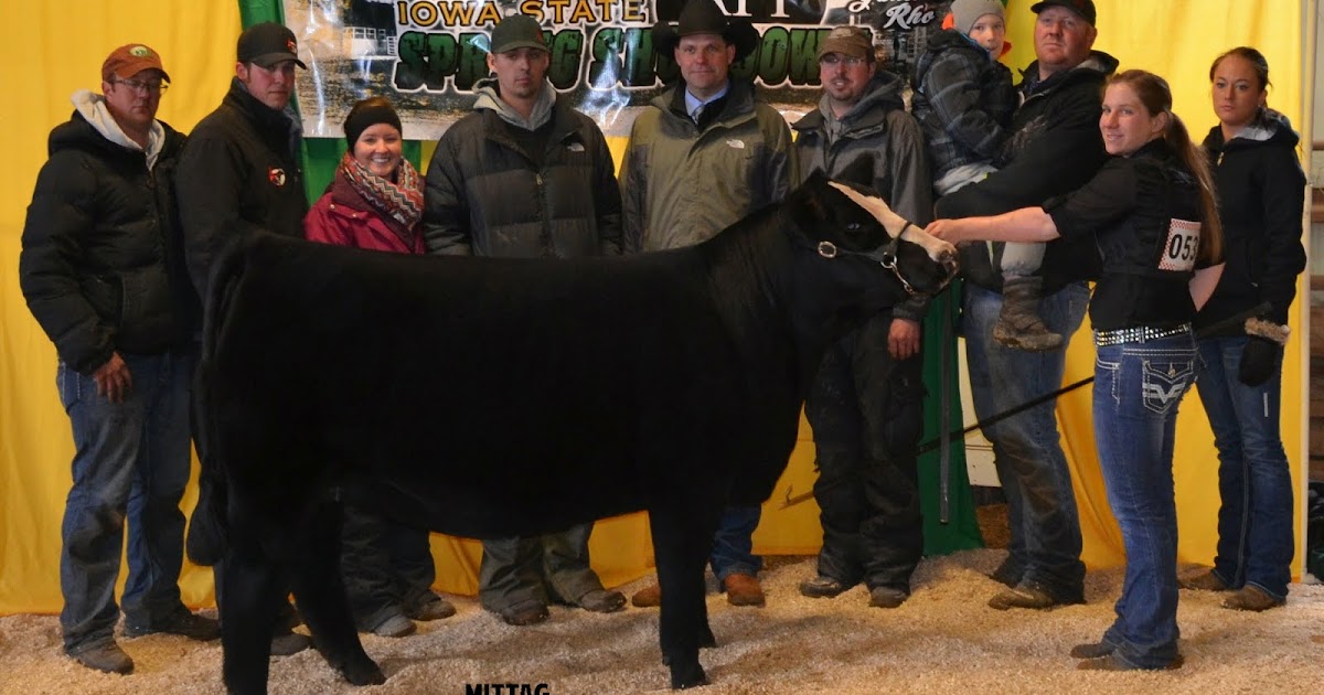 MITTAG Blog: ISU AGR Breeding Heifers TOP 5