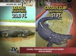 Lolong