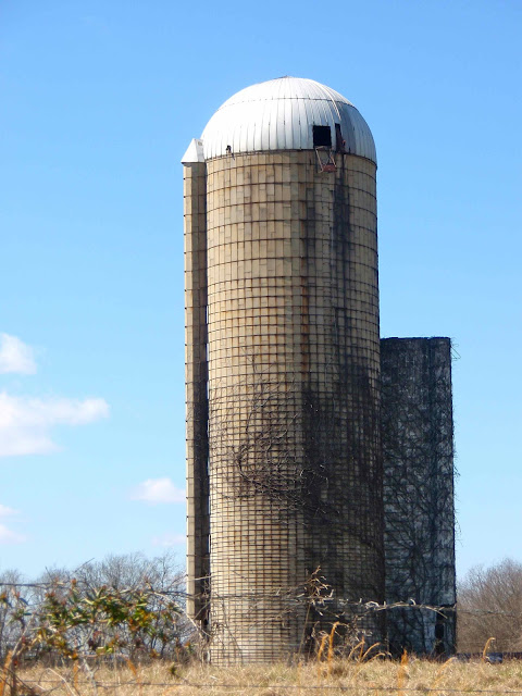 Botanic Bleu: March 2013