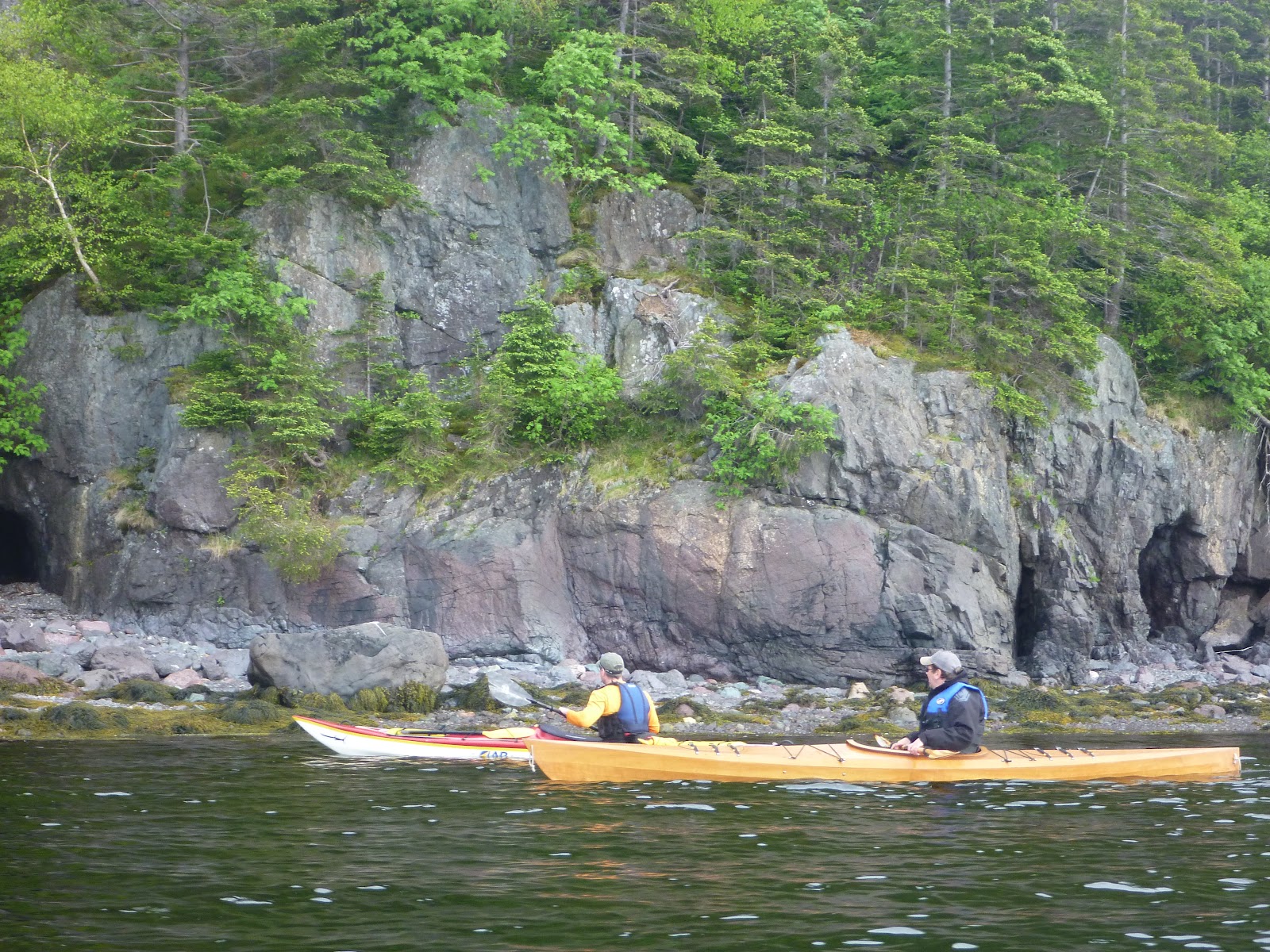 Newfoundland Sea Kayaking: Avondale in the Evening