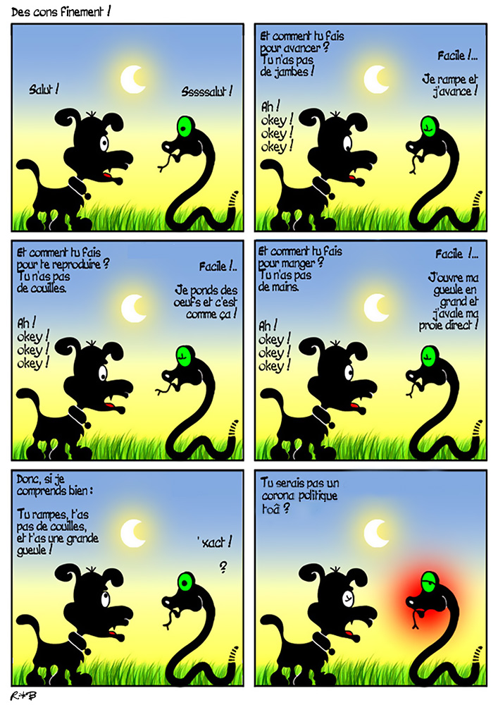 Les petits noirs d'Erby Kezako: Bon sang !... Mais c'est bien sûr