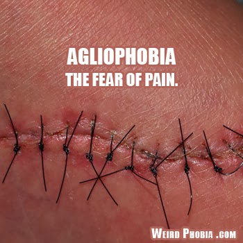 Collections: November 2013