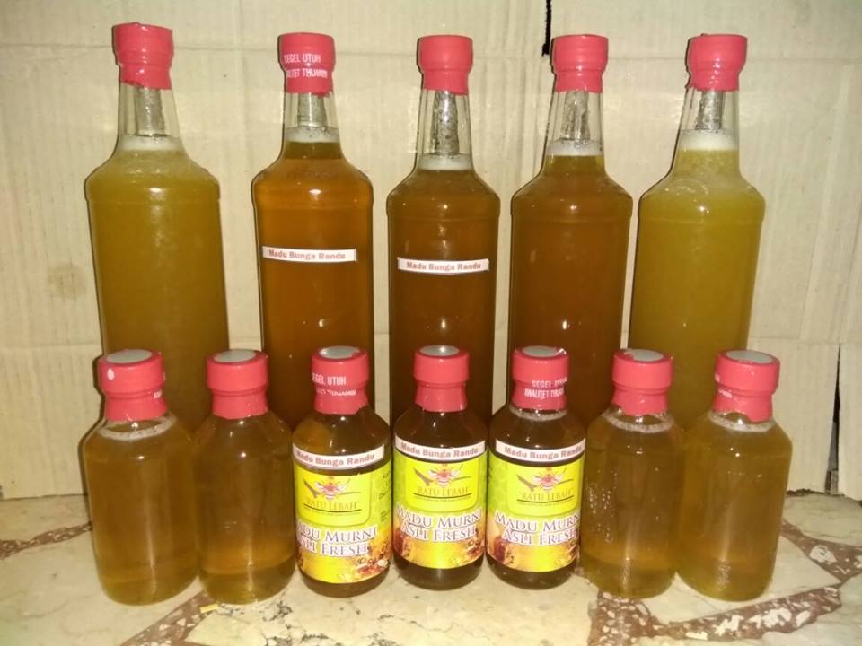 jual madu asli malang, jual madu asli surabaya, jual madu asli klanceng ...