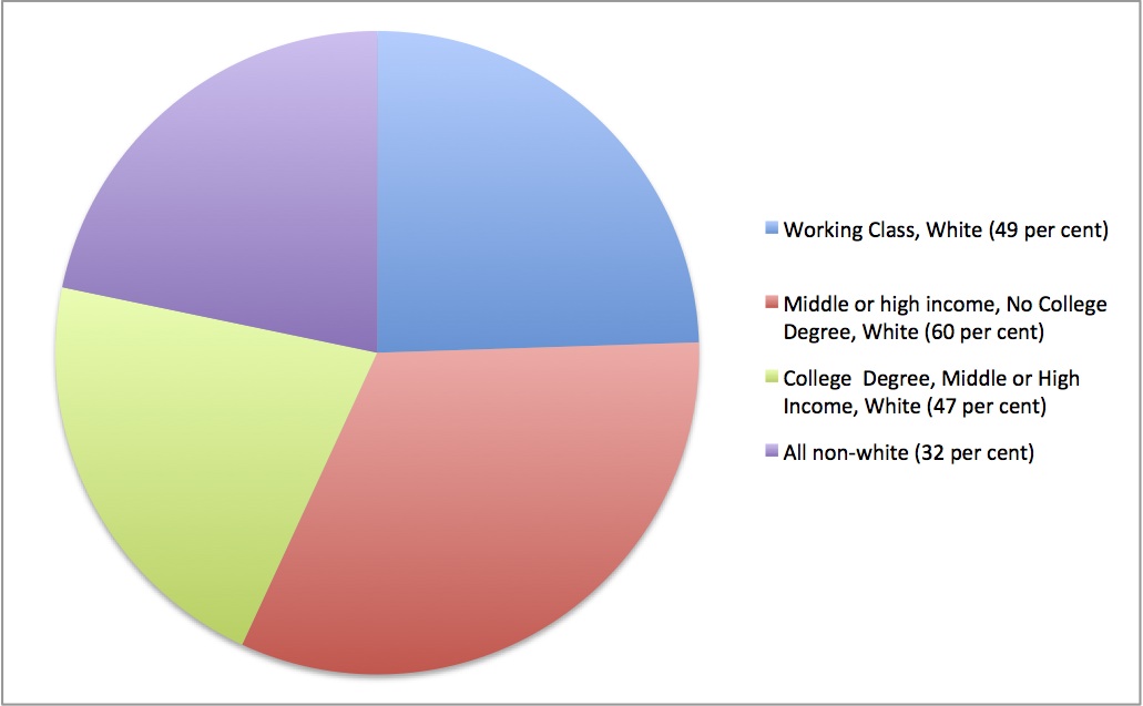 White Working Class - Business Insider