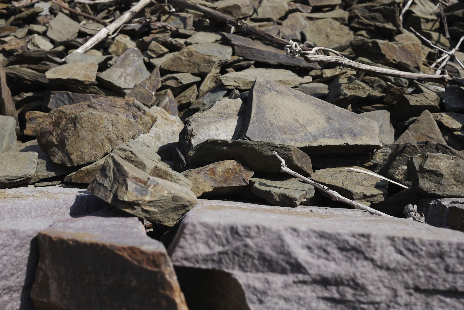 Tersina Wine Journal: June 2012