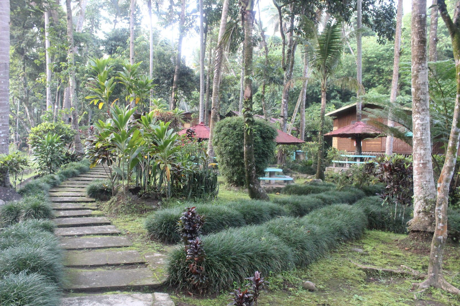 LEXICAL CROWN: LILIW RESORT: A COMPLETELY LUSH FOREST PARADISE