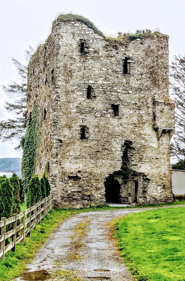 Patrick Comerford: Kilmeedy Castle, a former MacCarthy stronghold near ...