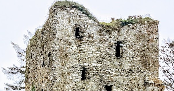Patrick Comerford: Kilmeedy Castle, a former MacCarthy stronghold near ...