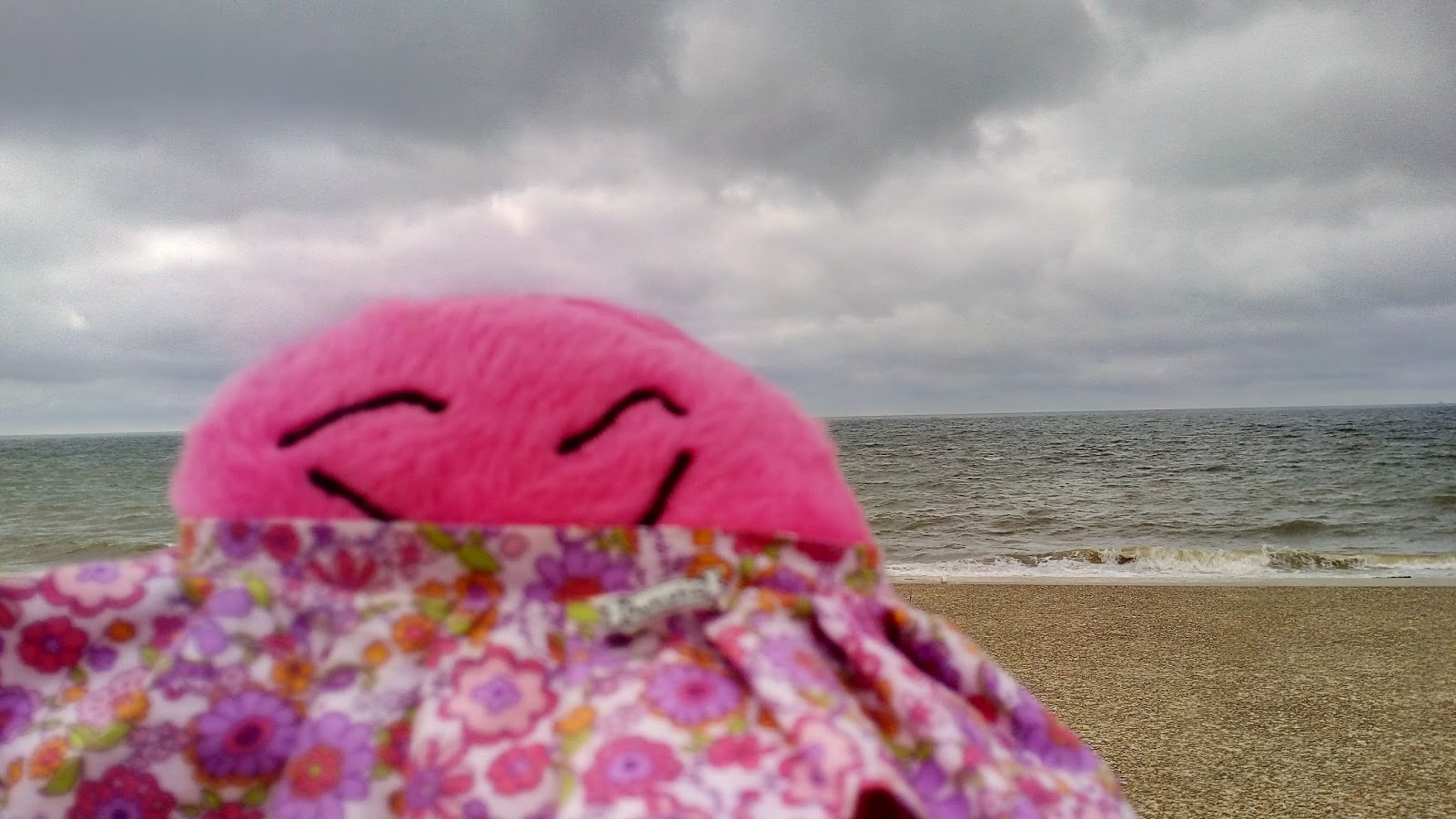 The Happy Adventures of Blob Thing: Blob Thing Encounters A Giant Sea ...