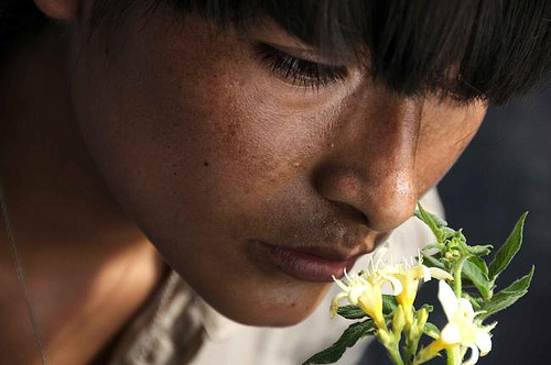 El cine como estrategia didáctica: La teta asustada