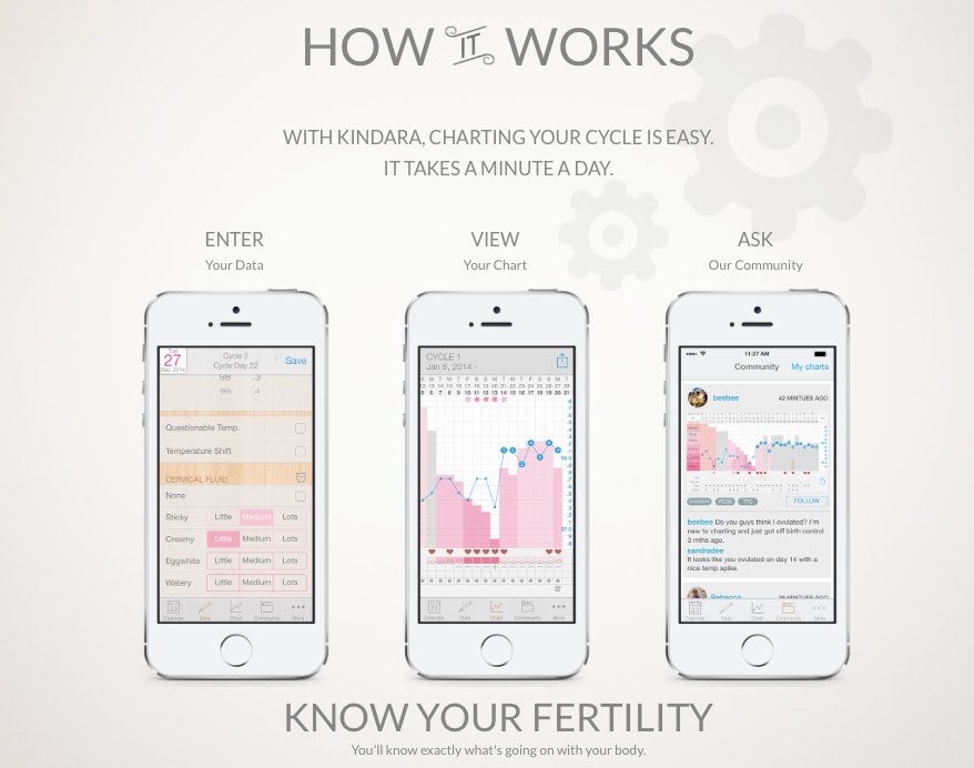 The Ranch Librarian: Fertility Nitty Gritty, Part One: Kindara and the ...