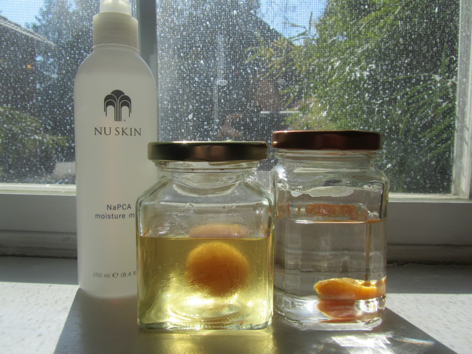 Youth Rules: The Power of NaPCa!