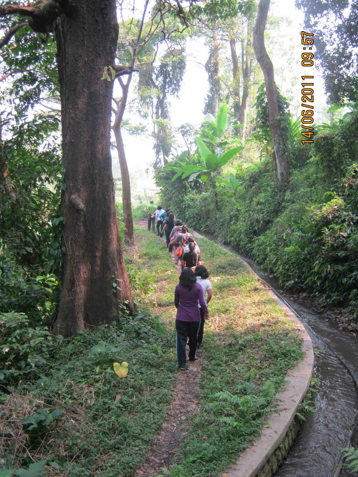 National Plus @ Mutiara Bunda School: Micro Hydro Fieldtrip – PPLH ...