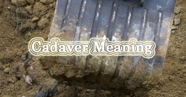 Cadaver, Cadaveric Spasm, Post Mortem and Ante Mortem. ~ How to Style