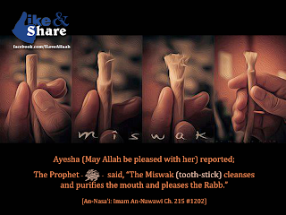 REVIVE A SUNNAH ⇨ "USING MISWAK (SIWAAK) AND ITS BENEFITS" | I love ...