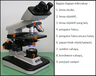 Contoh Soal Tentang Pembesaran Miskroskop