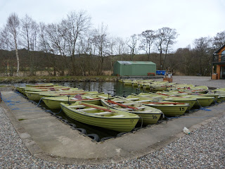 Memoirs of a Bed & Breakfast Owner: Butterstone Loch Fishery