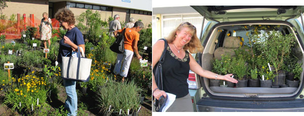 BeautifulNativePlants: Doug Tallamy!