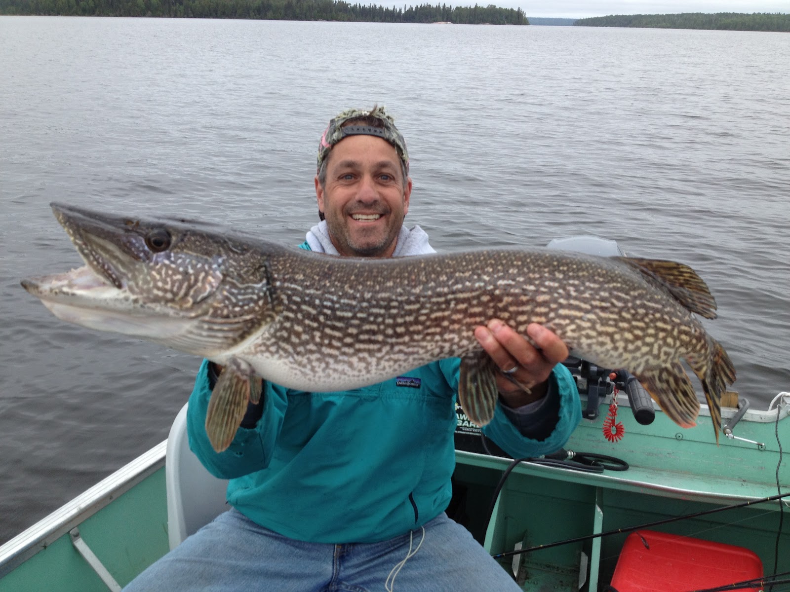 Rainbow Point Lodge Fishing and Hunting News Ontario, Canada: June 2012