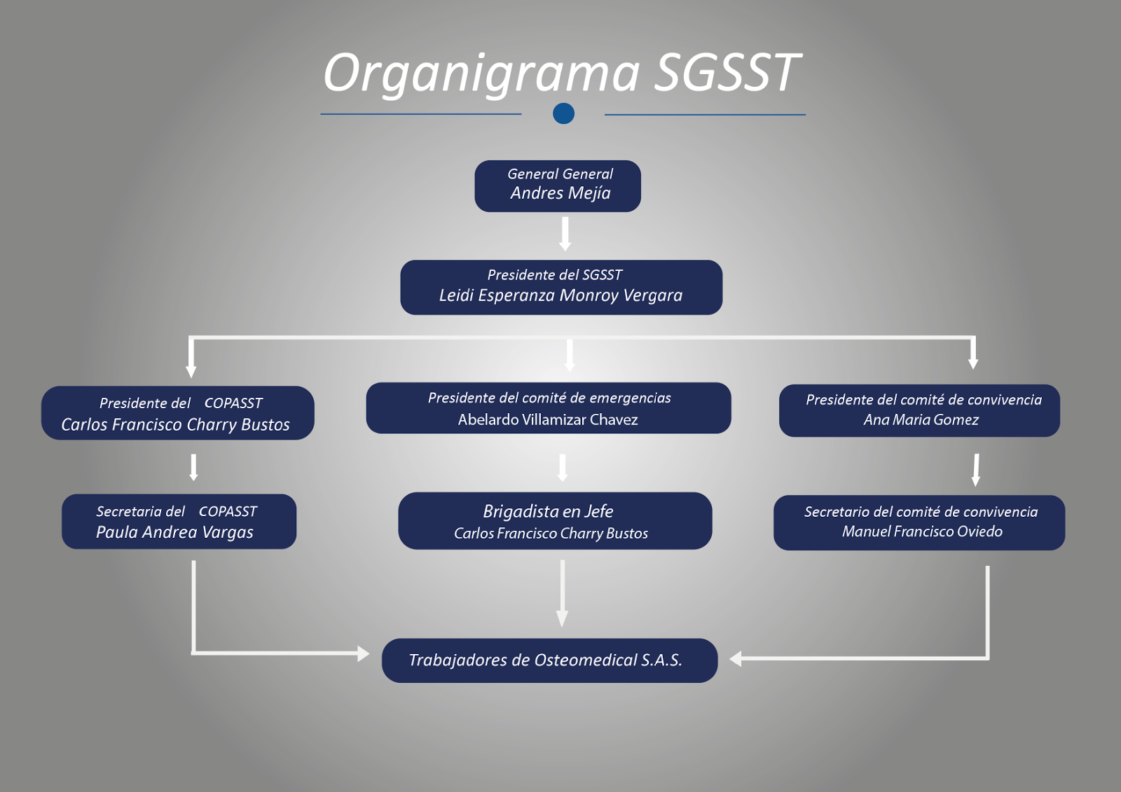 G.T.H: Organigrama SGSST