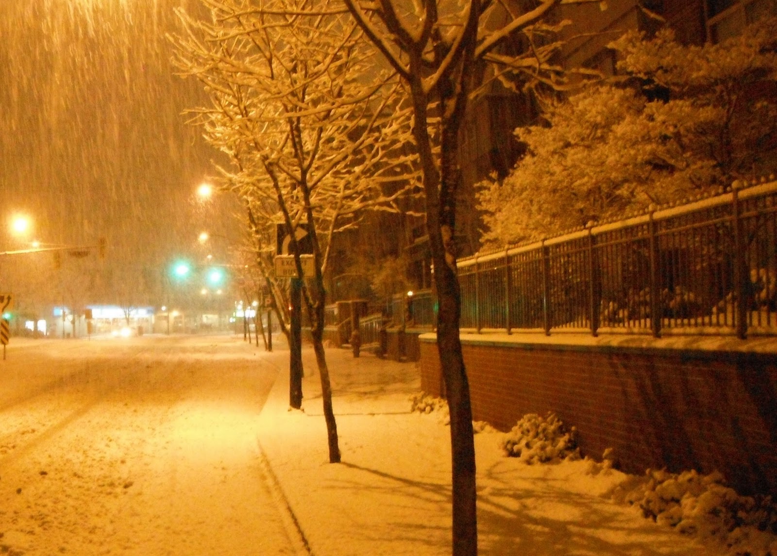 stormidae: first snow: night shots