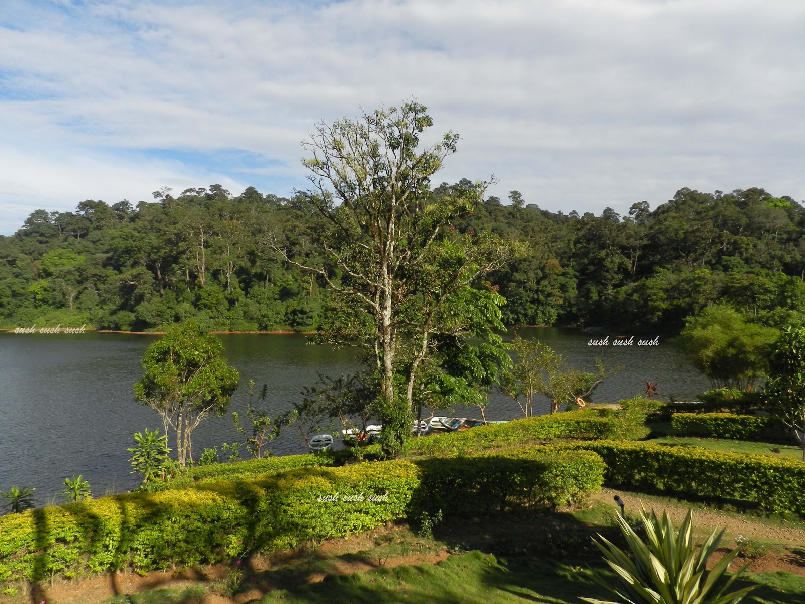 Vandiperiyar - JungleKey.in Image #50