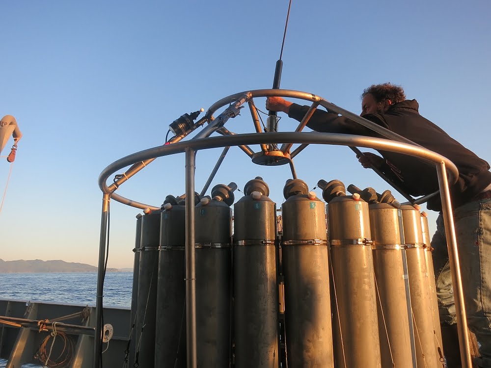 Ocean In View: The Ship, The Science, The Scenery