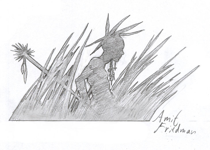 Amit Friedman, animator and story junky