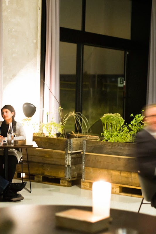 Noma ja tema pojad - Kodukokad.eeKodukokad.ee