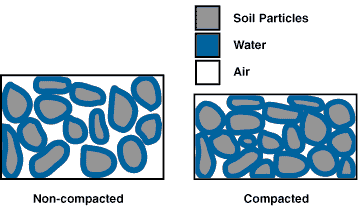 Extension to the 3rd Degree: Tips to Prevent and Improve Soil Compaction