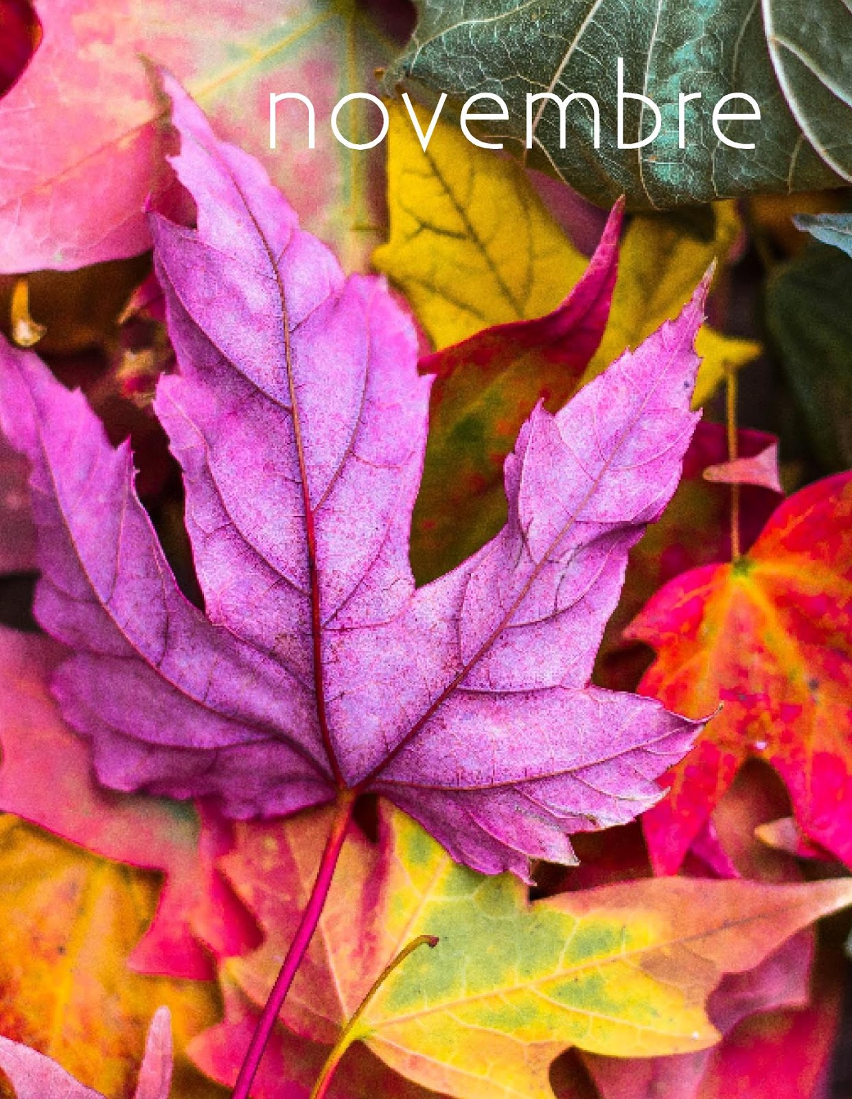 Quatre Fulles: NOVEMBRE / NOVIEMBRE