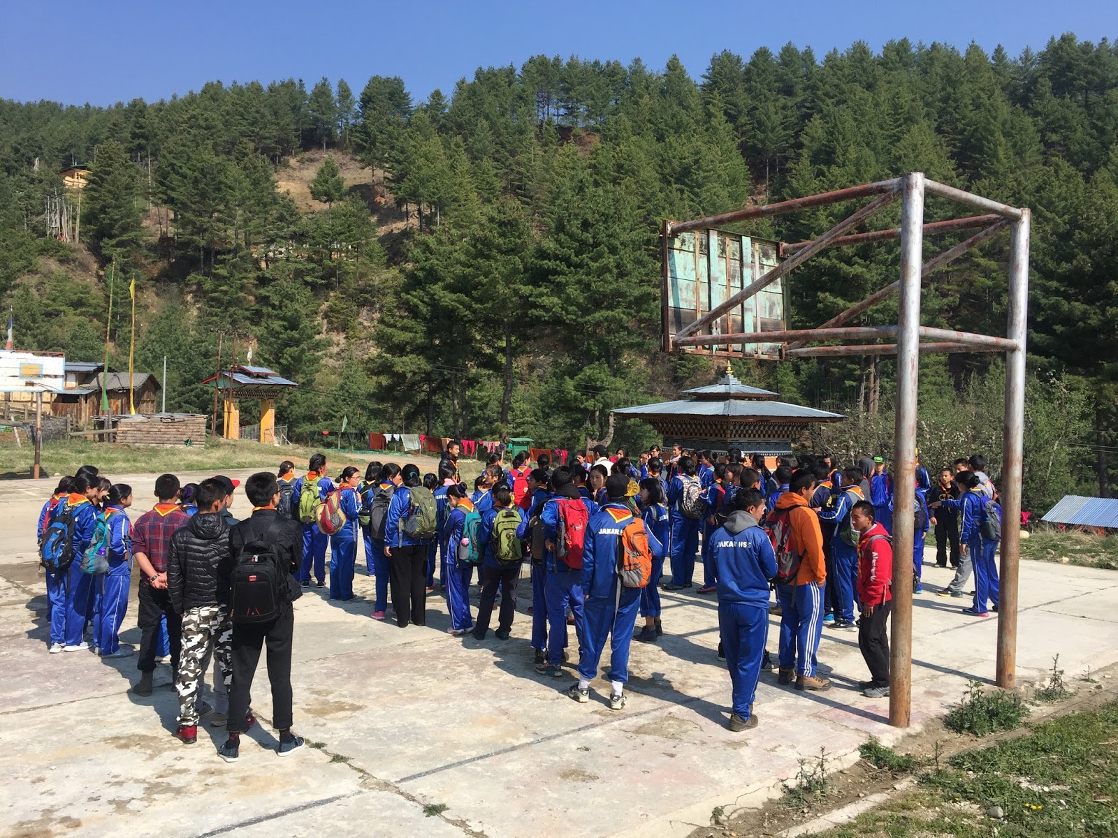 Druk Scout: Activity Reports