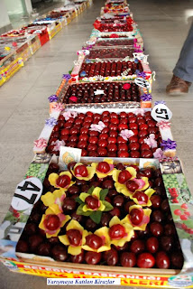 17 ÇANAKKALE: LAPSEKİ