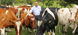 La clase de Marta: SECTOR PRIMARIO