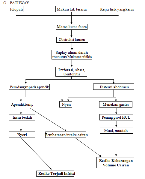 Artikel Indo: Penyebab dan Tanda Gejala Pada Pasien APPENDISITIS