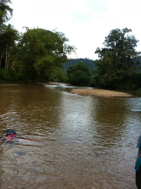 Bits and Pieces: Back To Nature in Kg Pasir Raja, Dungun, Terengganu