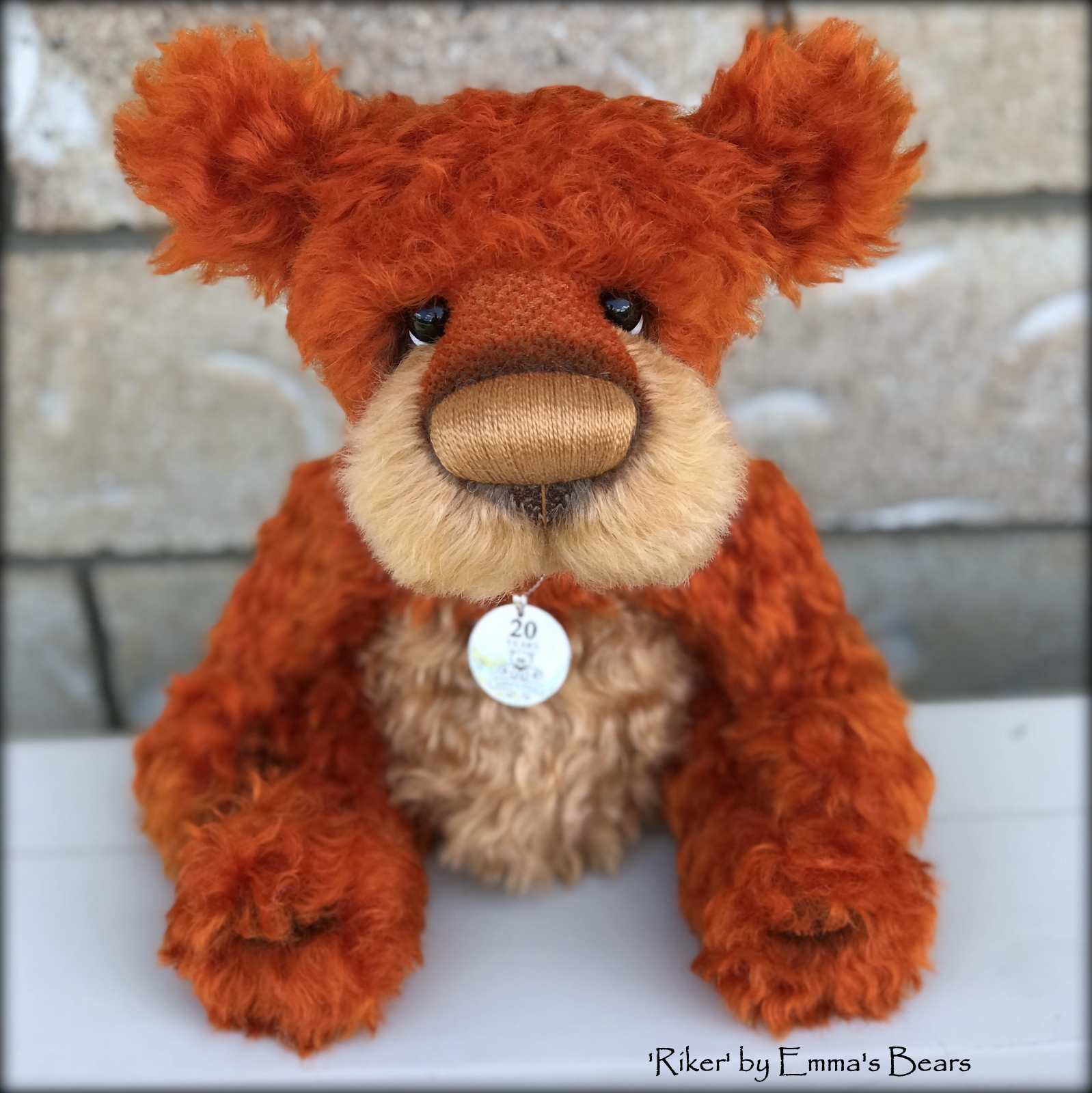 The Inner World of Emma's Bears: 20 Years of Emma's Bears