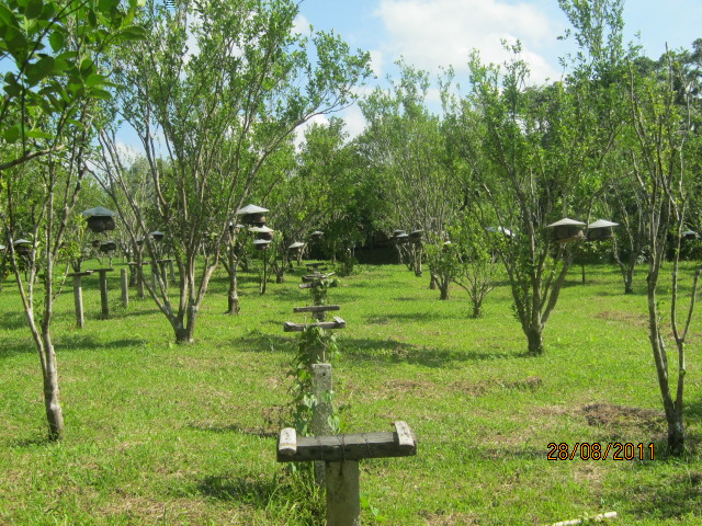 Majestic Caldera Our Valley of Irosin: Tourism and Historical hotspots